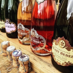 Producteur CHAMPAGNE ALAIN BEDEL - 02310 Charly sur Marne